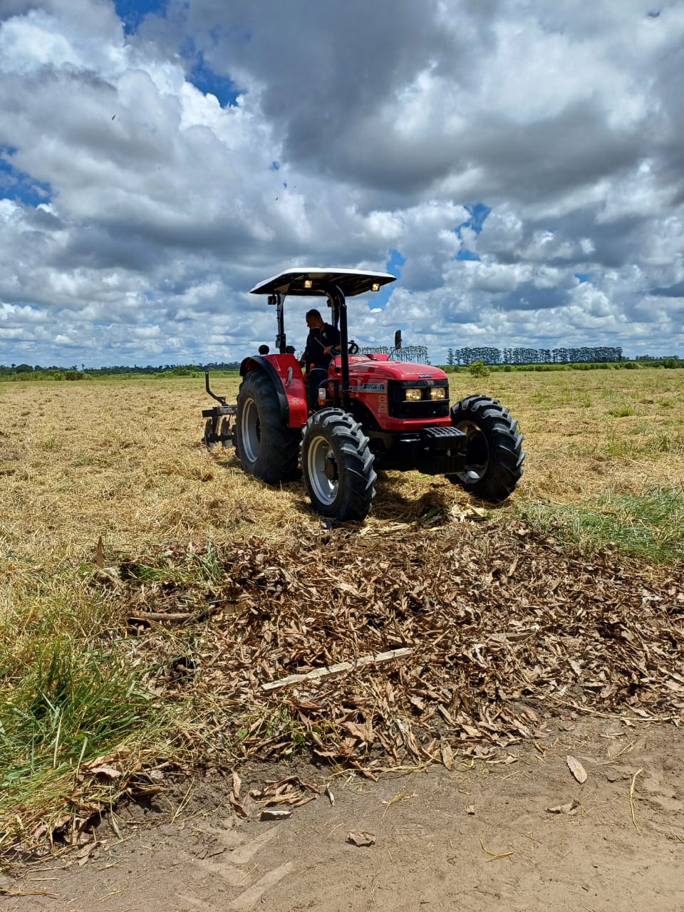 SEJUS - Sejus lança projeto Semear em São Mateus